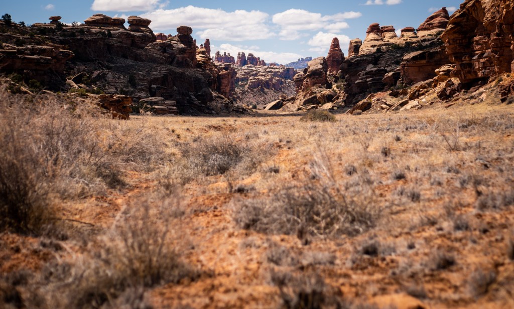 Lonesome Cyclone | The Overcast Adventurers